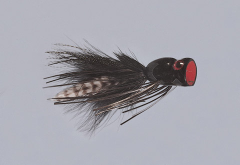 Black Rattlin Frog - Durango Fly Fishing Guides | Duranglers Fly ...
