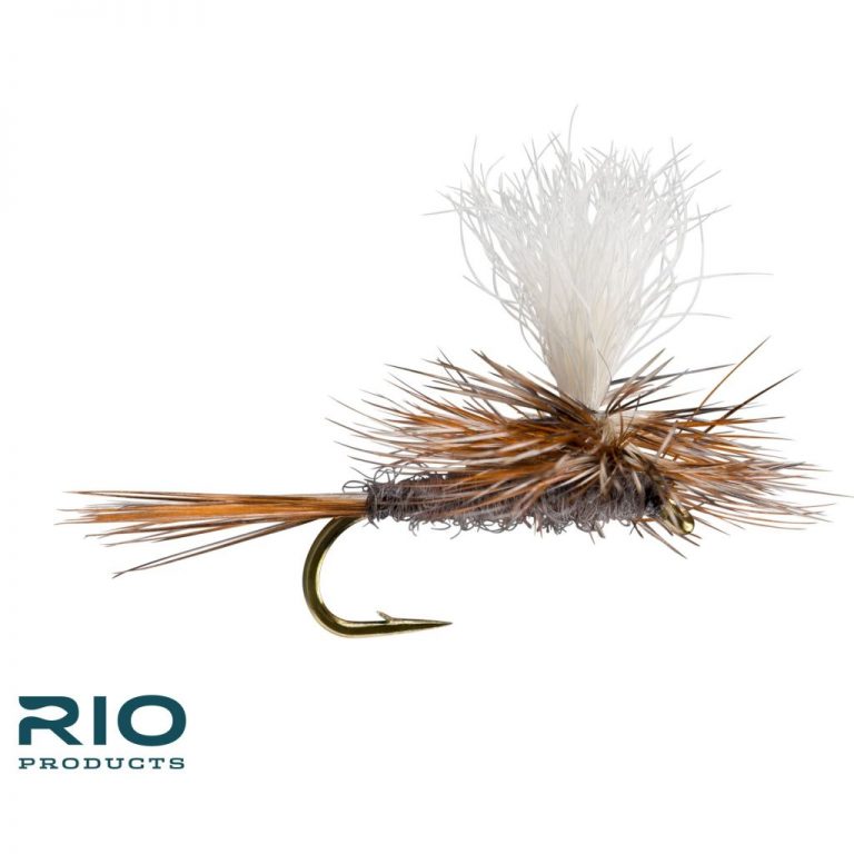 Top 10 Flies For Southwest Colorado